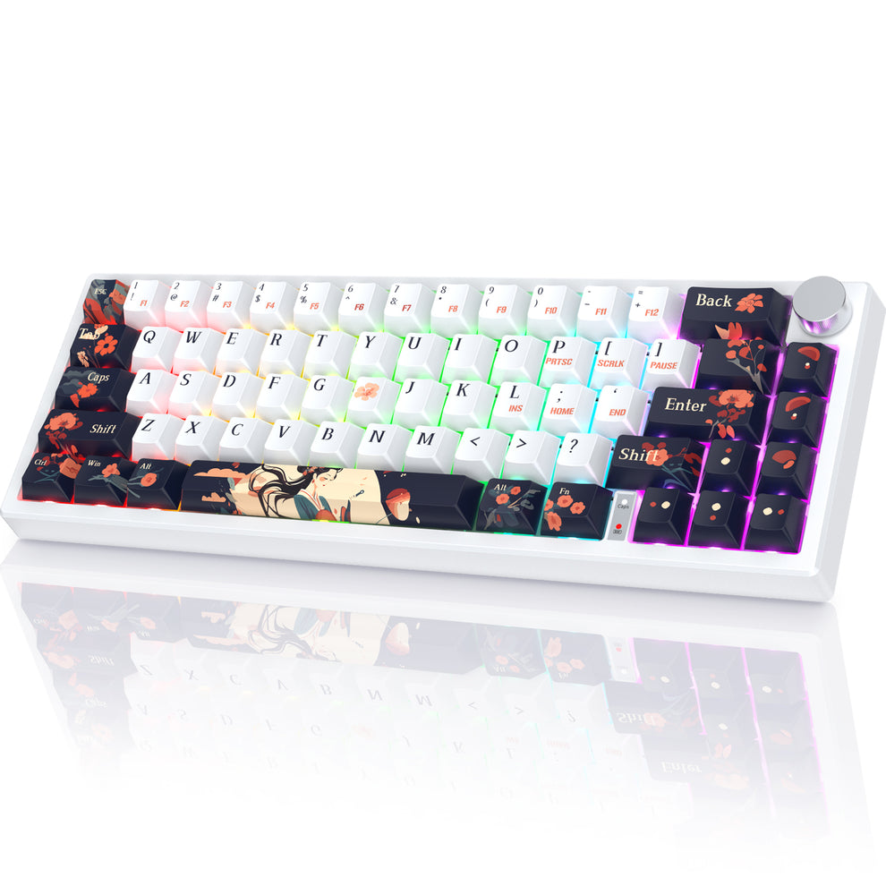 RisoPhy PC425 Wireless Gaming Keyboard – 我的商店